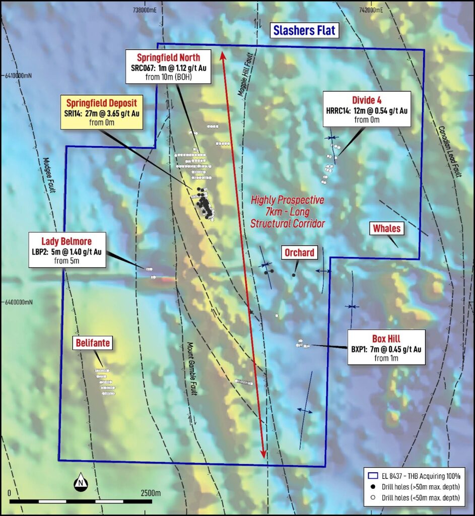 Springfield Gold Deposit – Xpedra Resources Limited